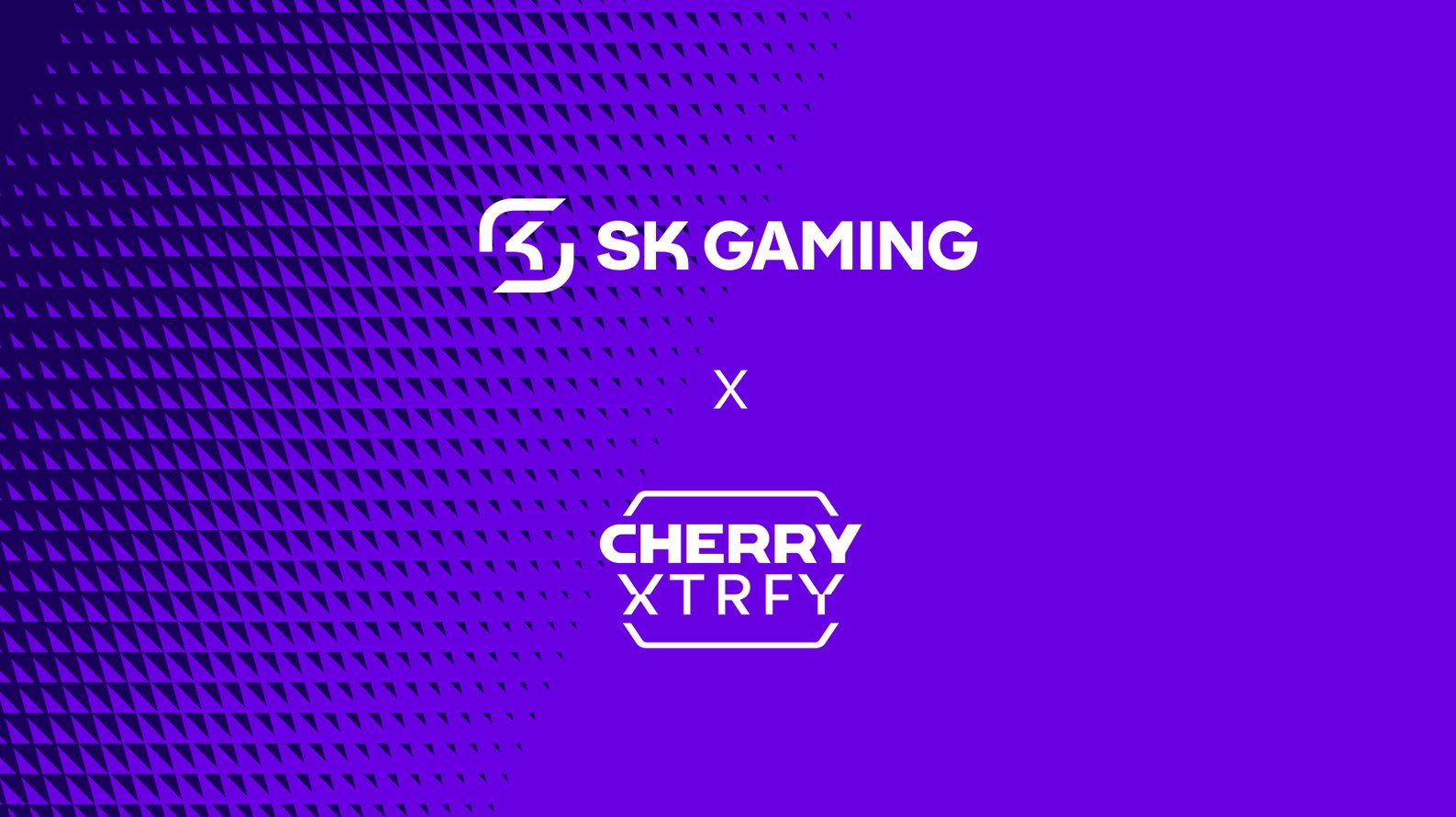 SK Gaming – 25 Years of Esports